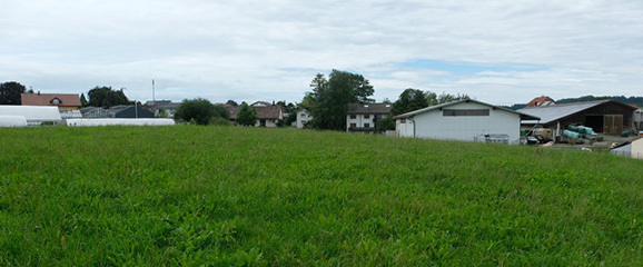 Wichtige Schritte auf dem Weg zum Baugebiet Maxhof - BLIX ...